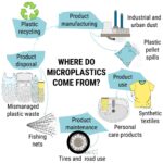 Microplastics: A Vast, Barely Visible Problem - Marina Schauffler